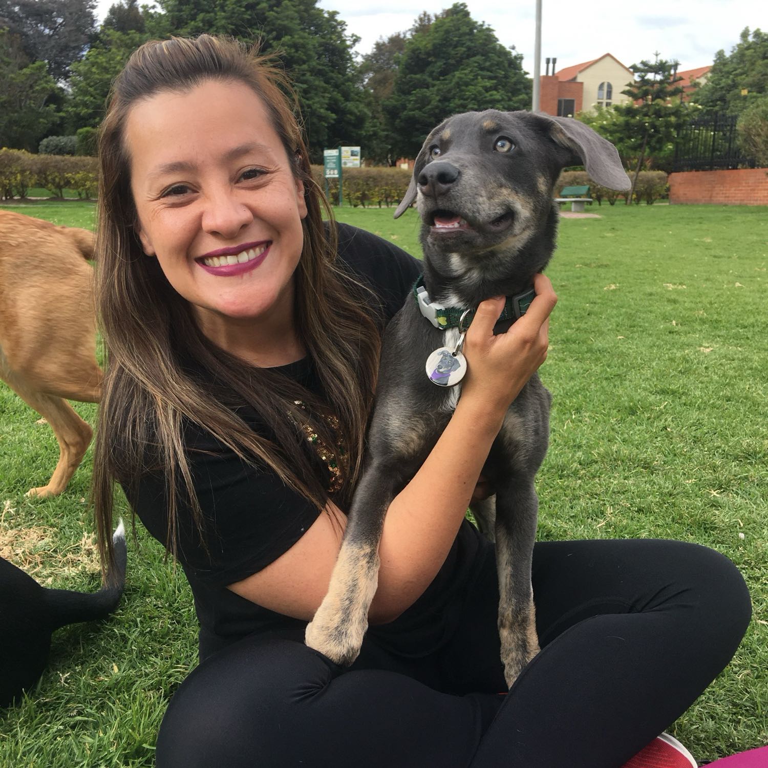 Lina | Pet sitter in Magill SA | Pawshake.com.au