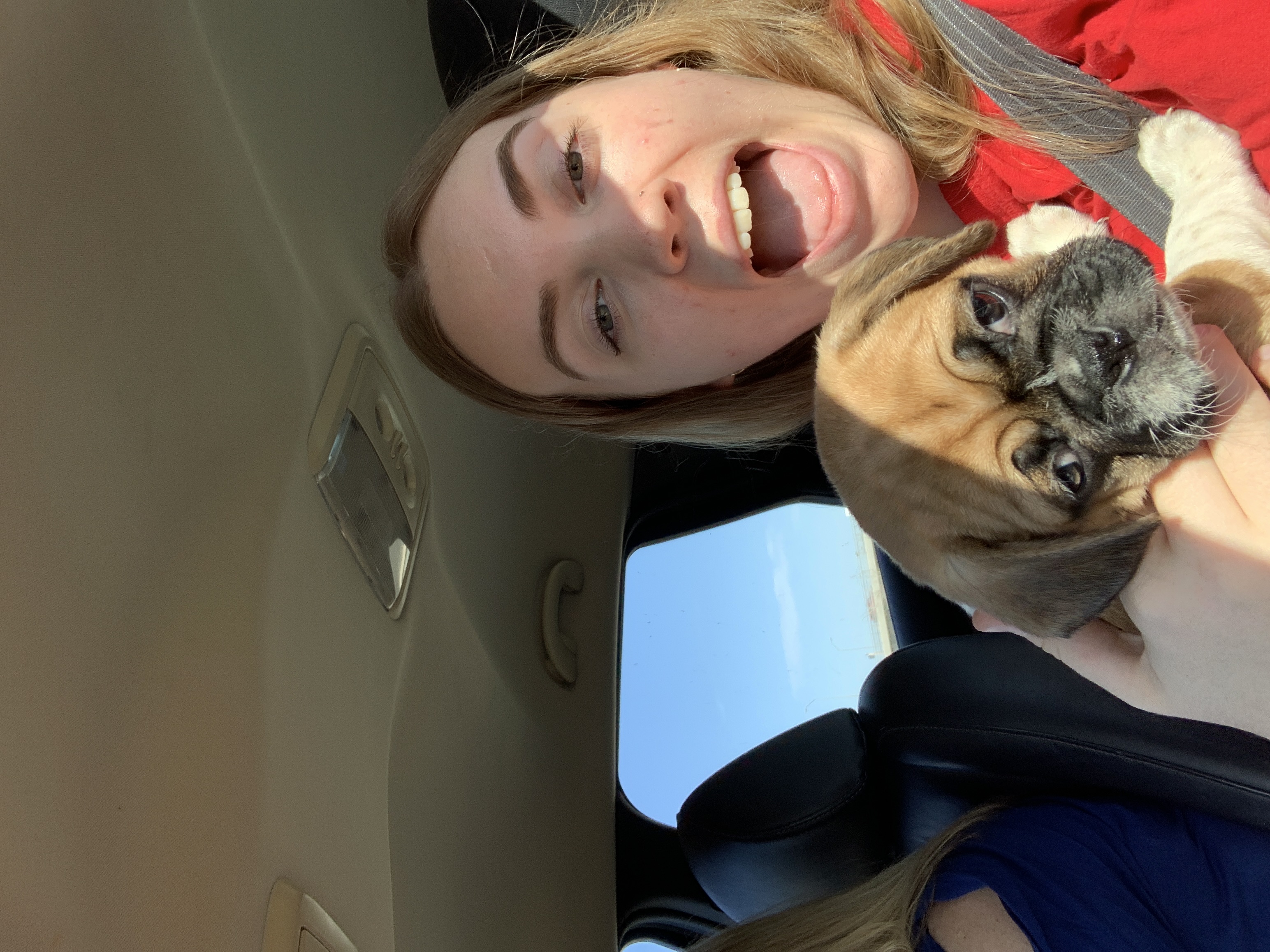 Jennifer | Pet sitter in Maida Vale | Pawshake.com.au