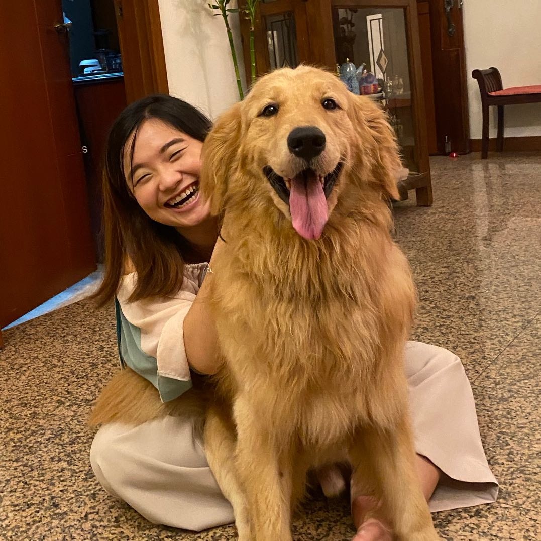 Phionna | Pet sitter in Novena | Pawshake.com.sg