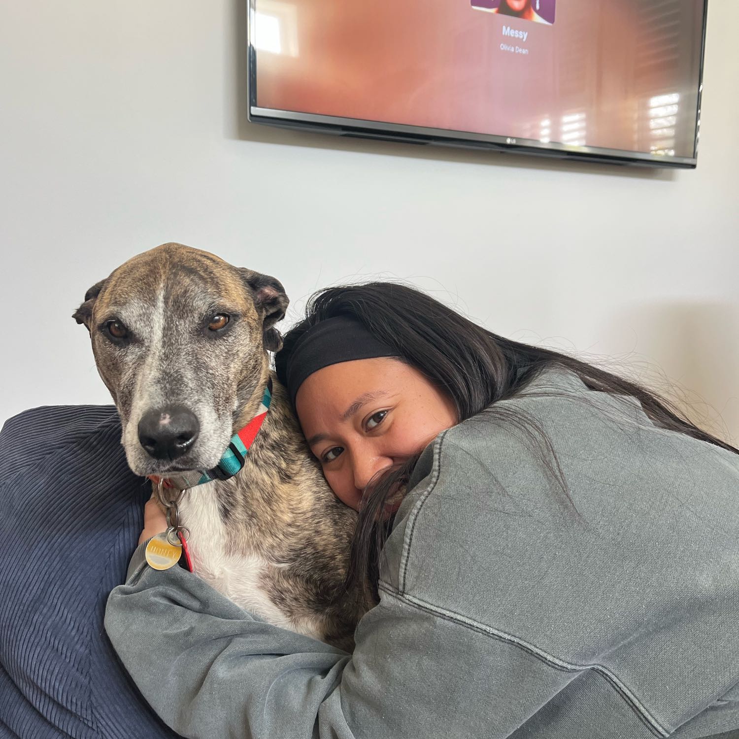 Anya | Pet sitter in Auckland | Pawshake.co.nz