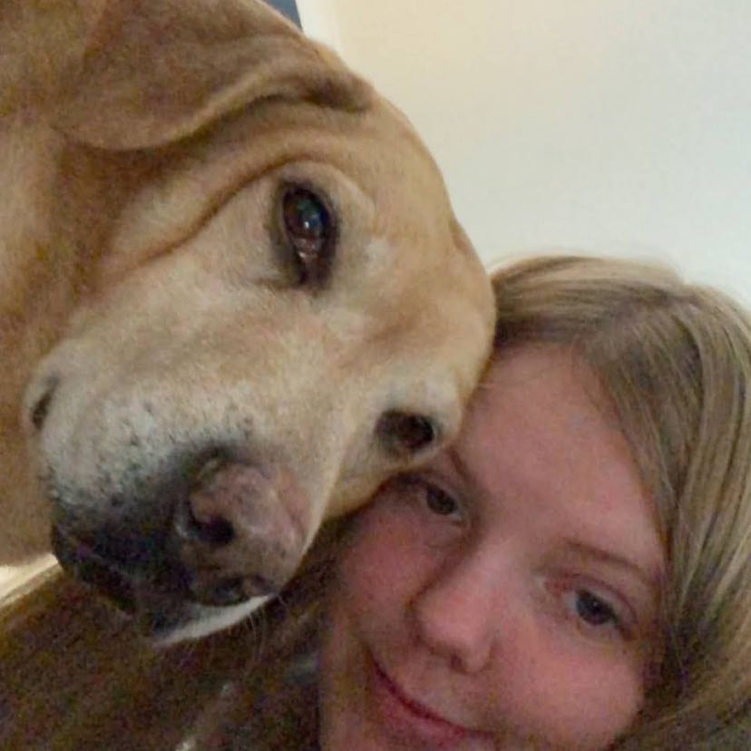 Erin | Pet sitter in Edinburgh | Pawshake.co.uk