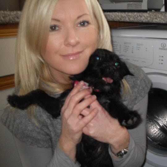 sue | Pet sitter in Lympstone | Pawshake.co.uk