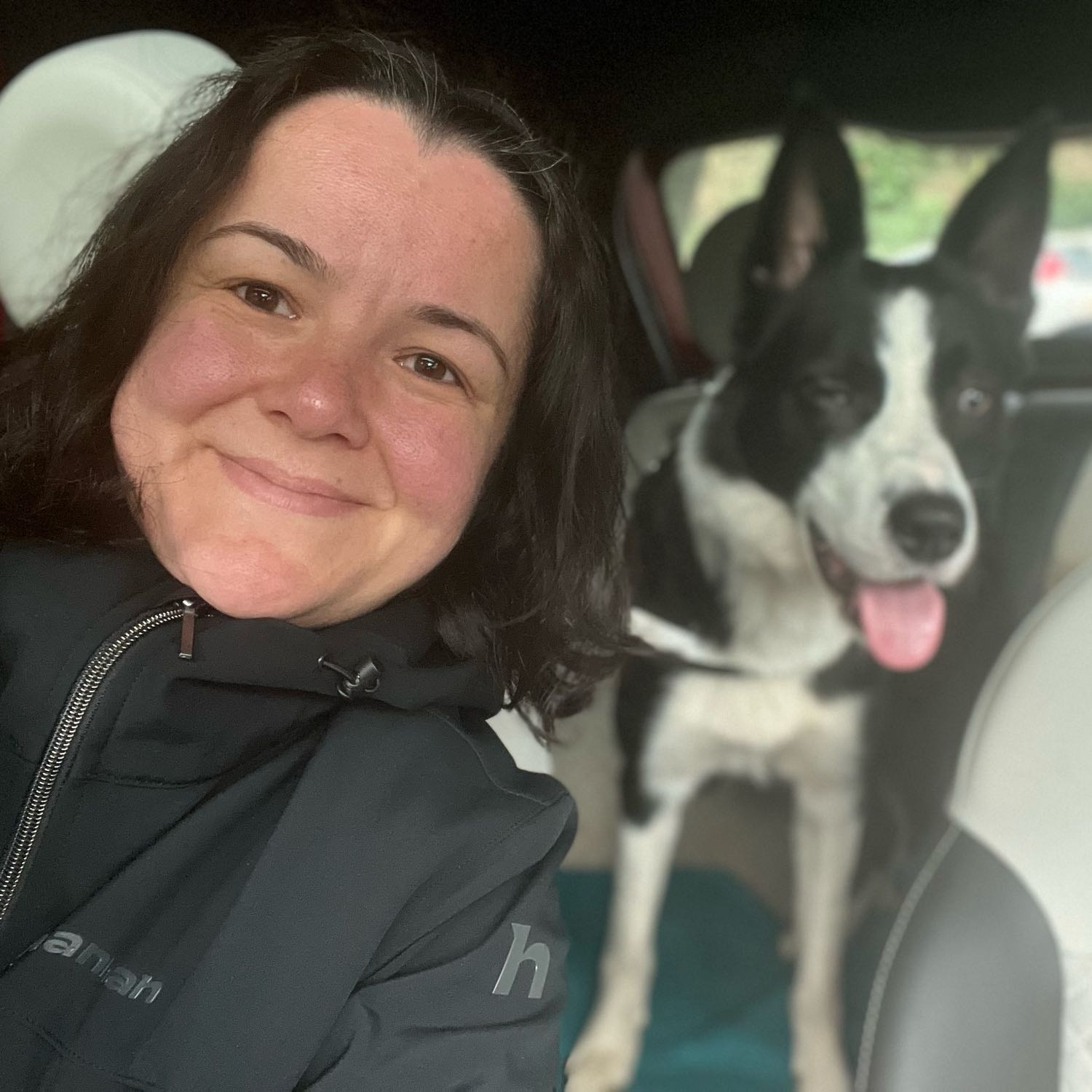 Andra | Pet sitter in Wick | Pawshake.co.uk