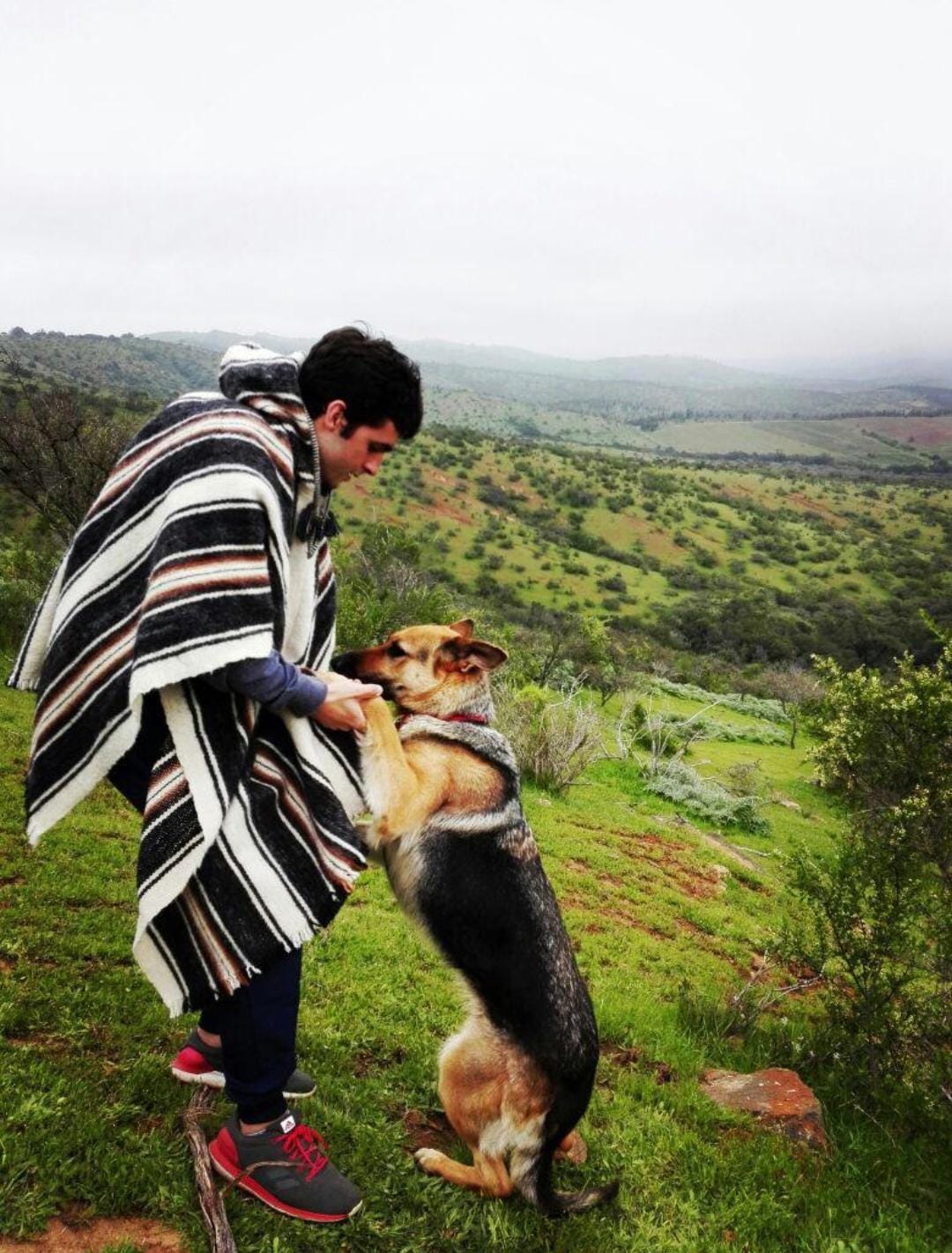 Khaled | Pet sitter in Prenzlauer Berg | Pawshake.de