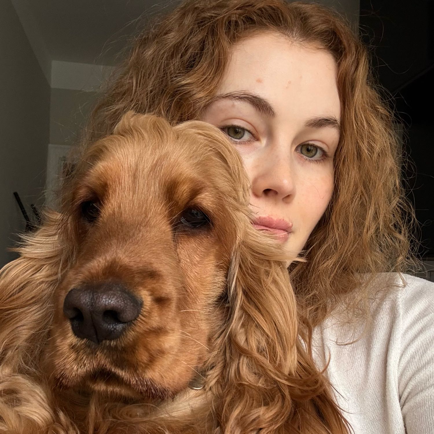 Lina | Dyrepasser i København | Pawshake.dk
